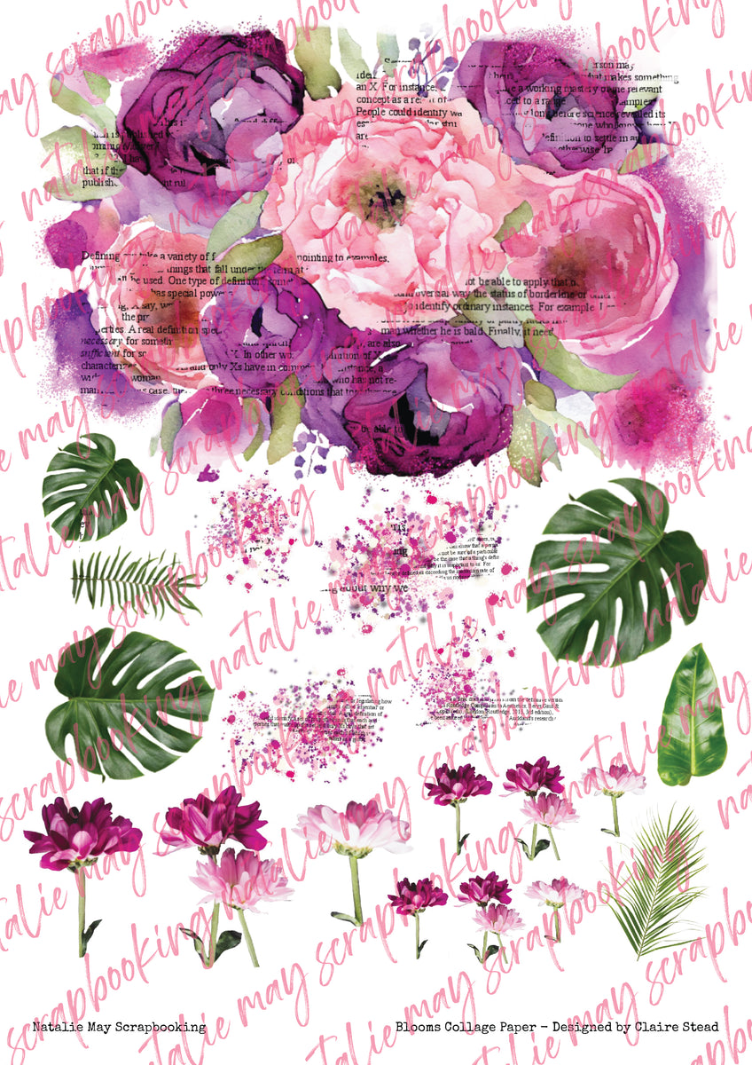 Natalie May Collage Paper - Blooms - by Claire Stead – Natalie May ...